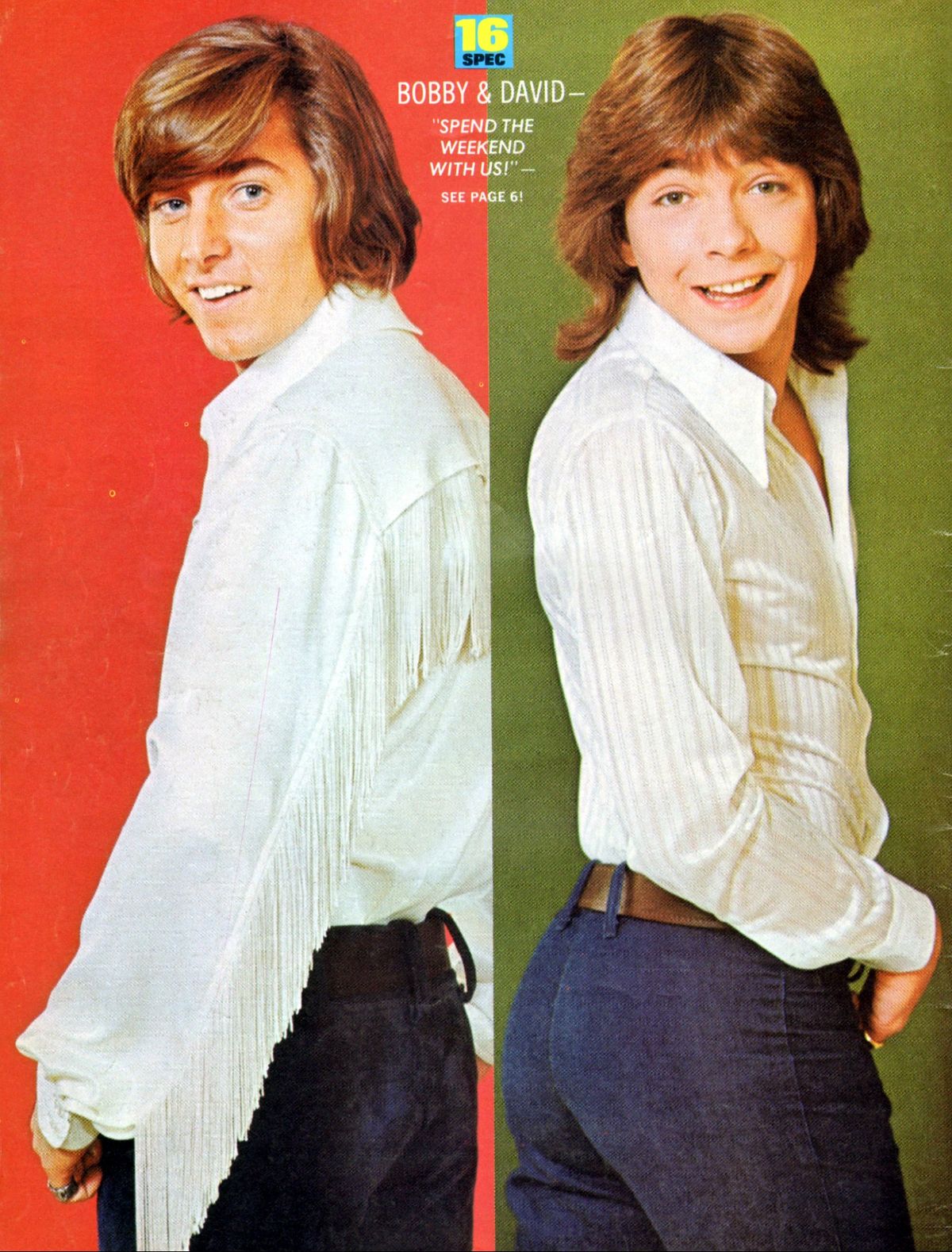 David Cassidy & Bobby Sherman – Stephanie – Great Songs